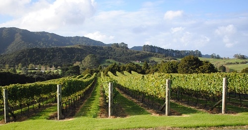 Mangawhai Attractions, Activities and Scenic Videos